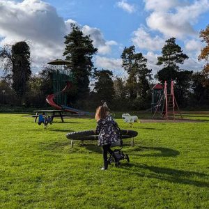 Home - Wimbish Village Website