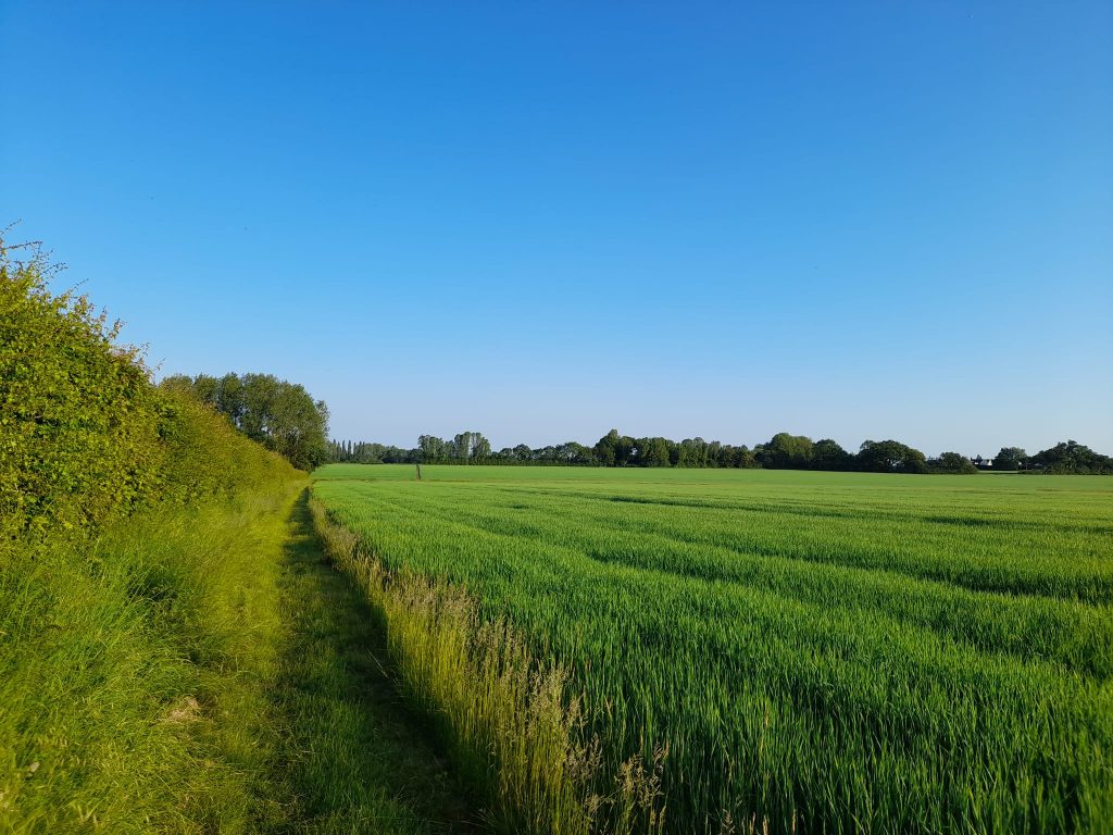 Wimbish Rights of Ways - Wimbish Village Website